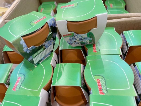 priser - Promo Seeds